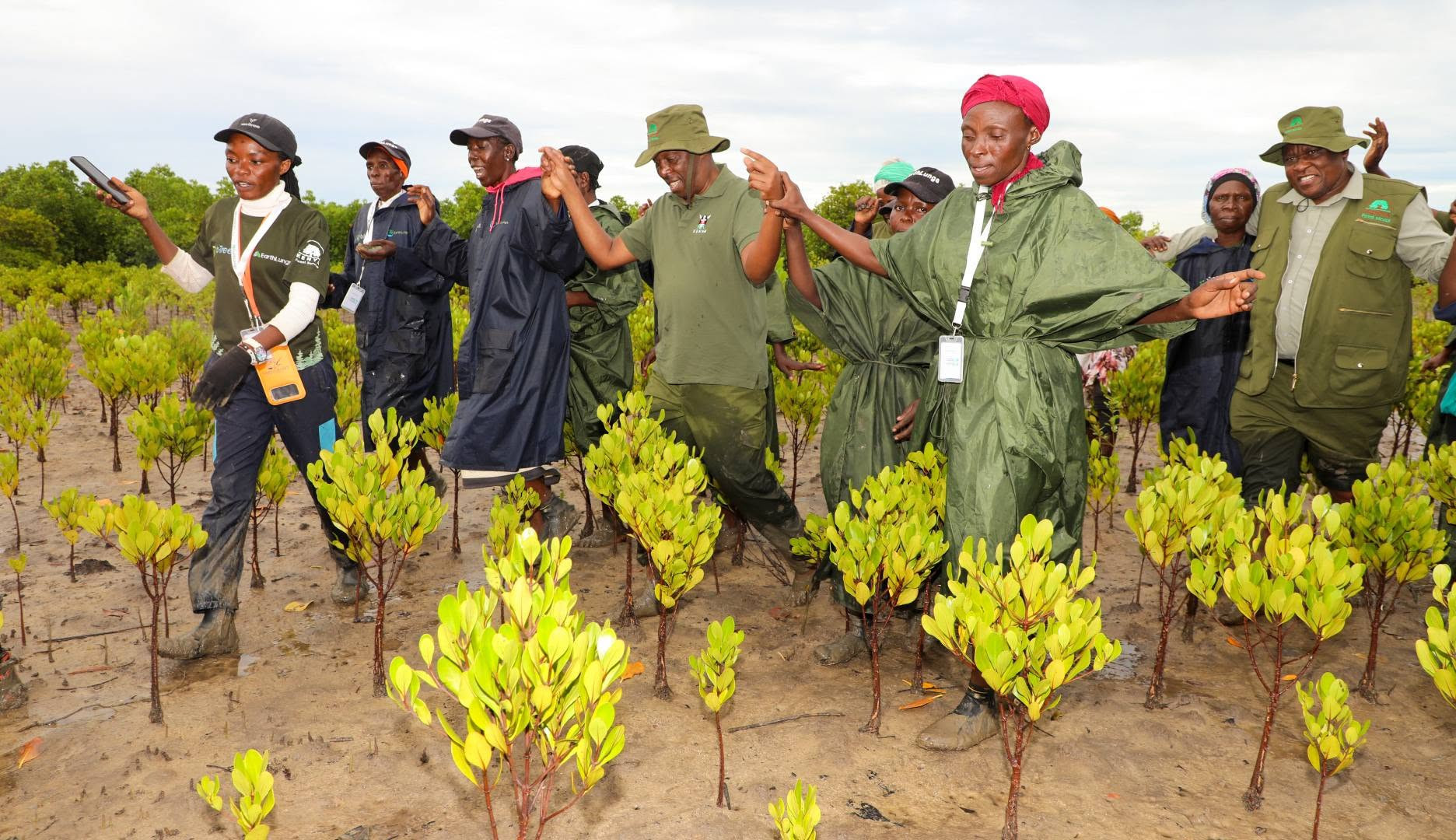 10 days, 10 provinces, 100k trees: Canadian world-record-holder who ...