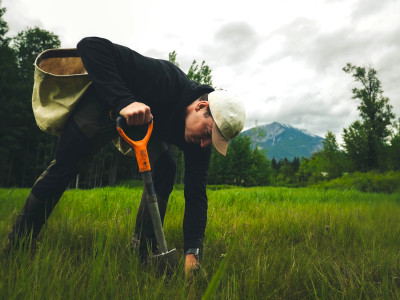 10 days, 10 provinces, 100k trees: Canadian world-record-holder who ...